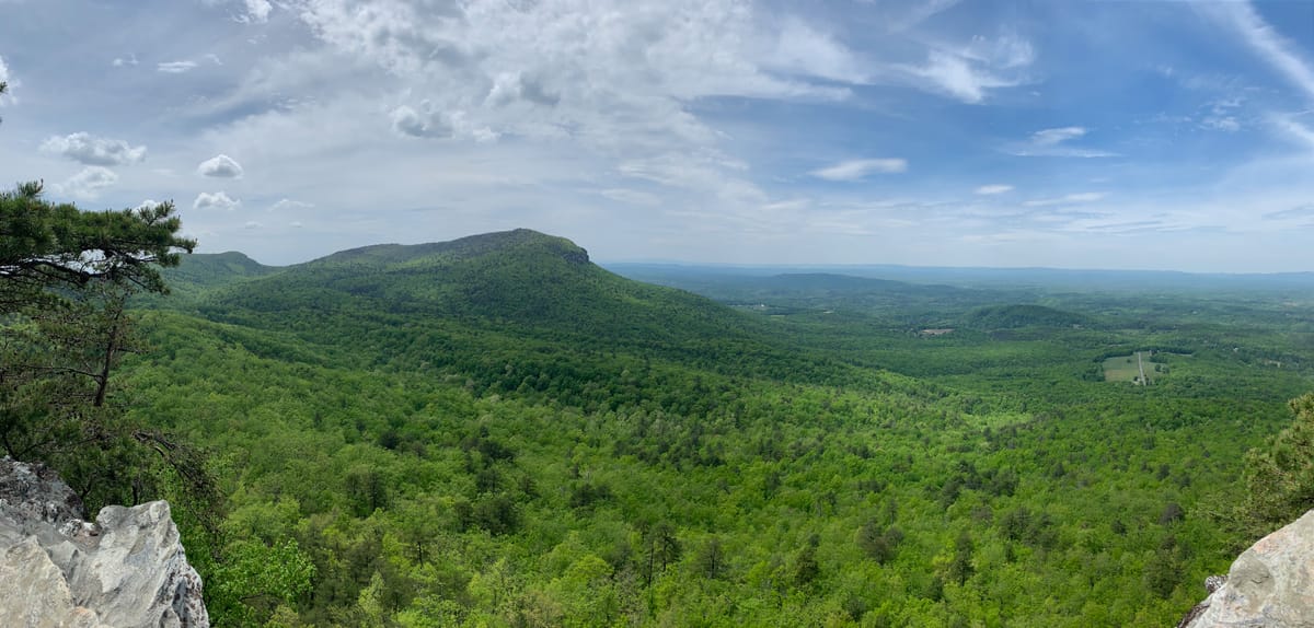 The Delver Collective